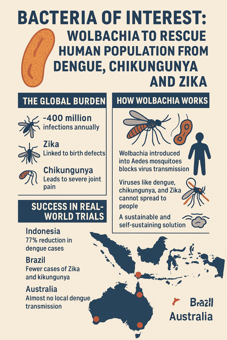 Bacteria to the Rescue: Wolbachia Emerges as a Natural Shield Against ...