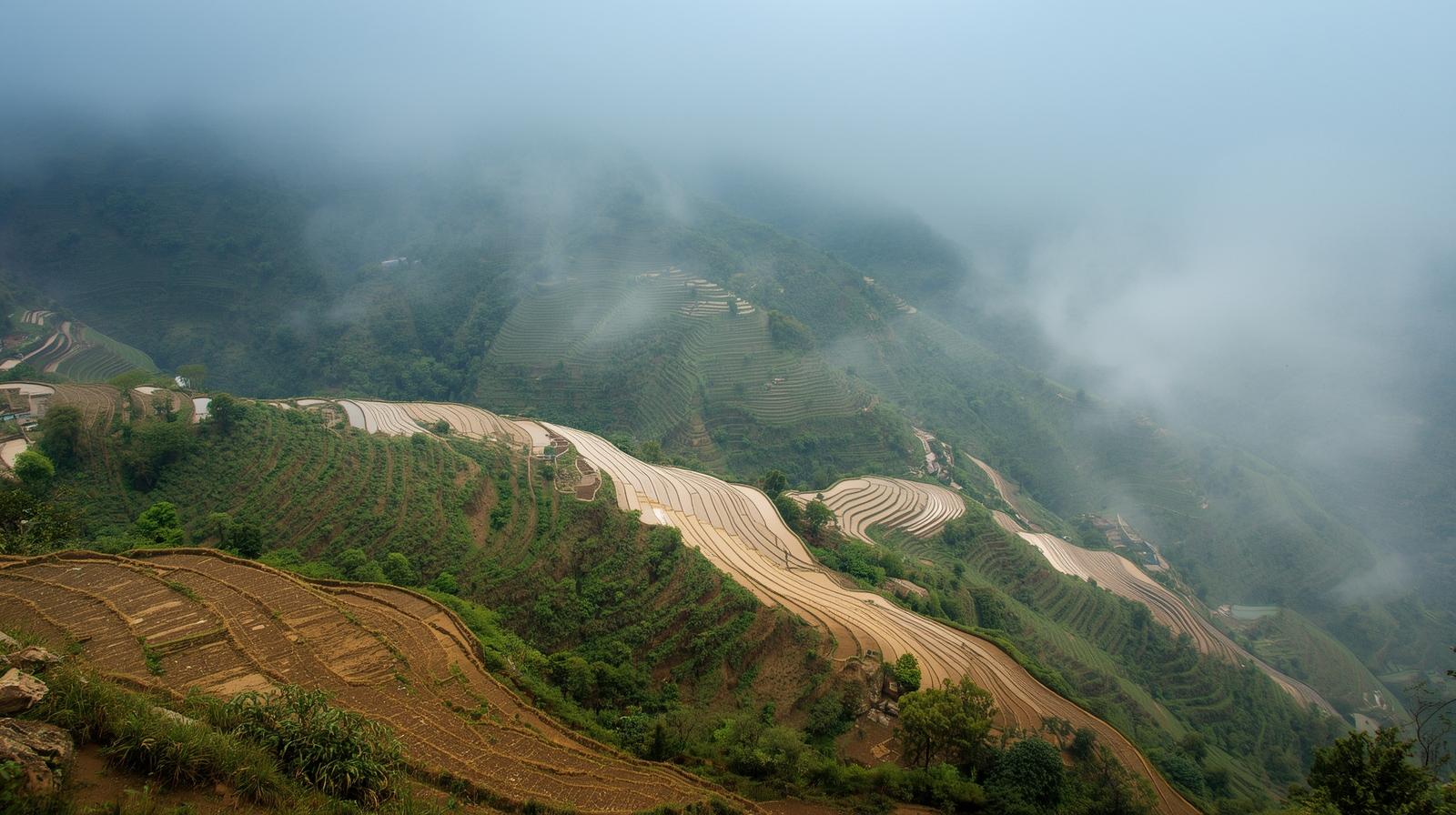 How Himalayan Land Use and Elevation Shape Soil Microbial Health and ...