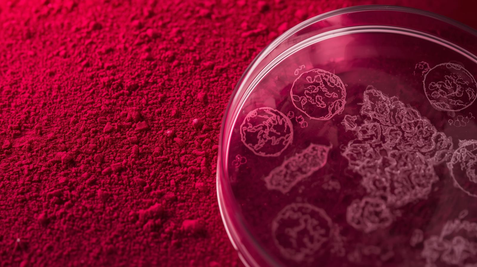 Beetroot-Based Medium Offers a Sustainable Alternative to Conventional ...