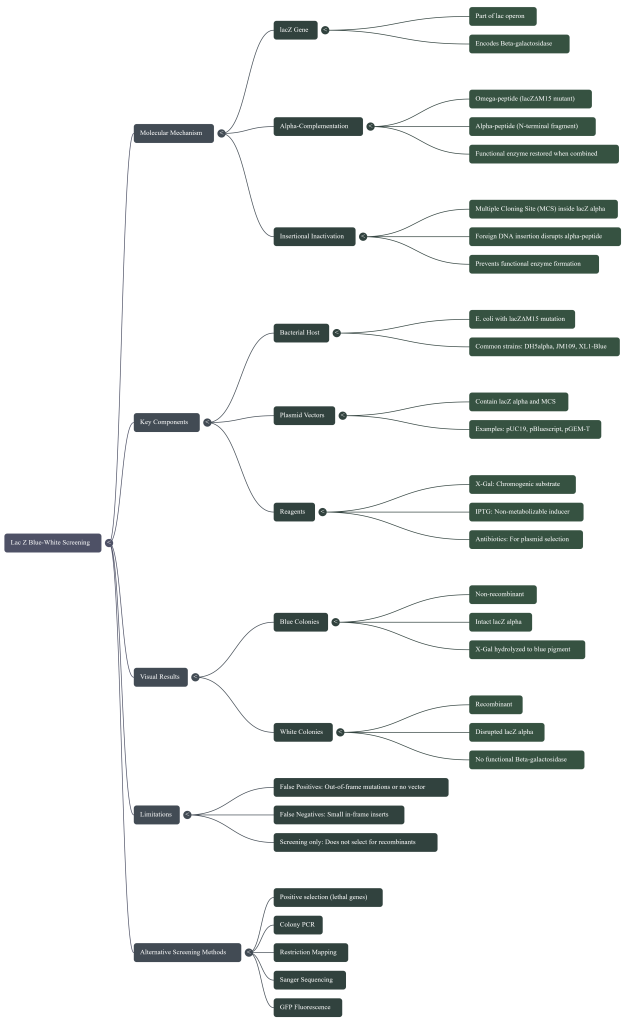 The Secret of the Blue and White Colonies: An Introduction to Blue ...