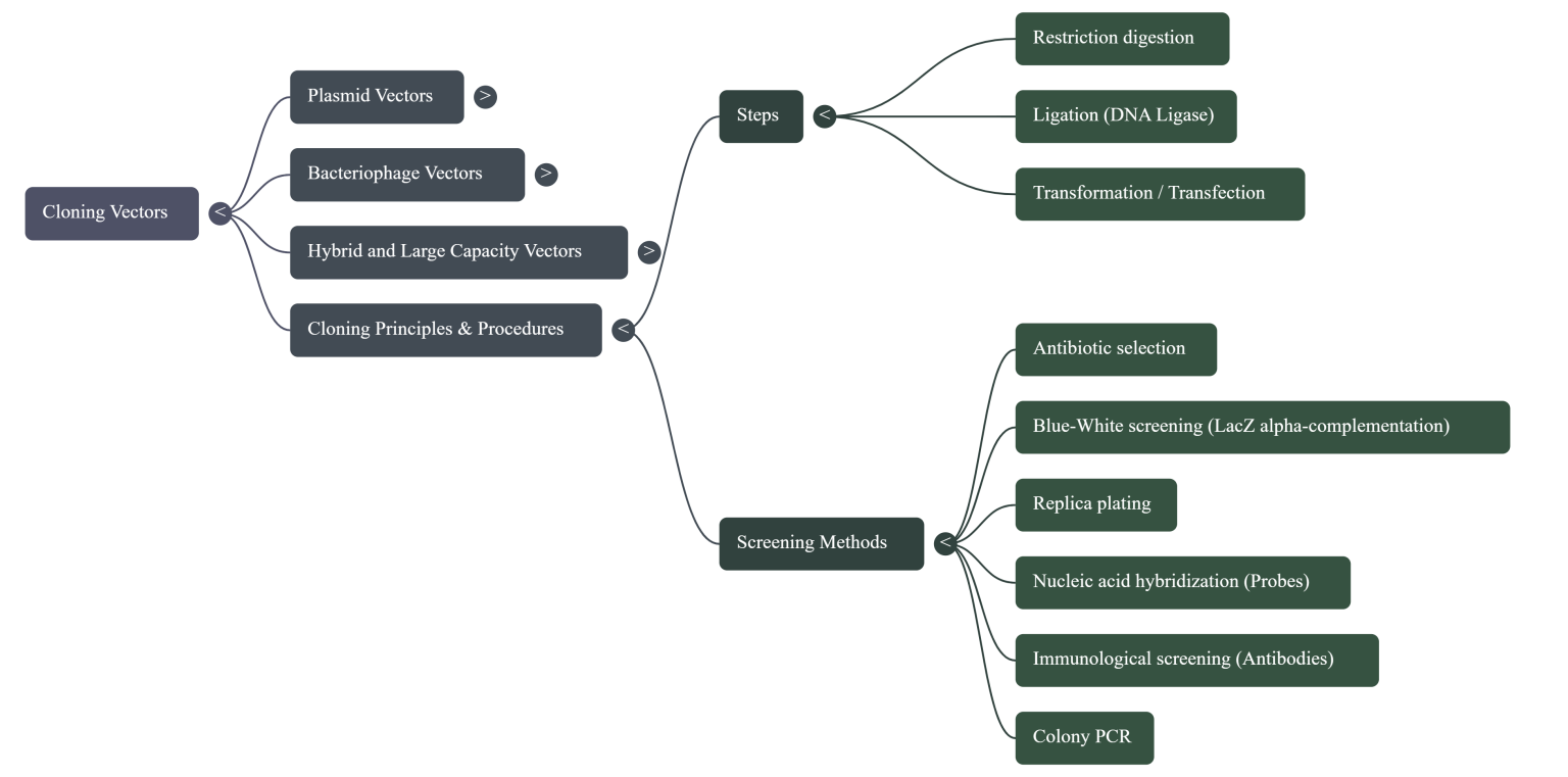 The Genetic Engineer’s Toolkit: A Beginner’s Guide to Cloning Vectors ...