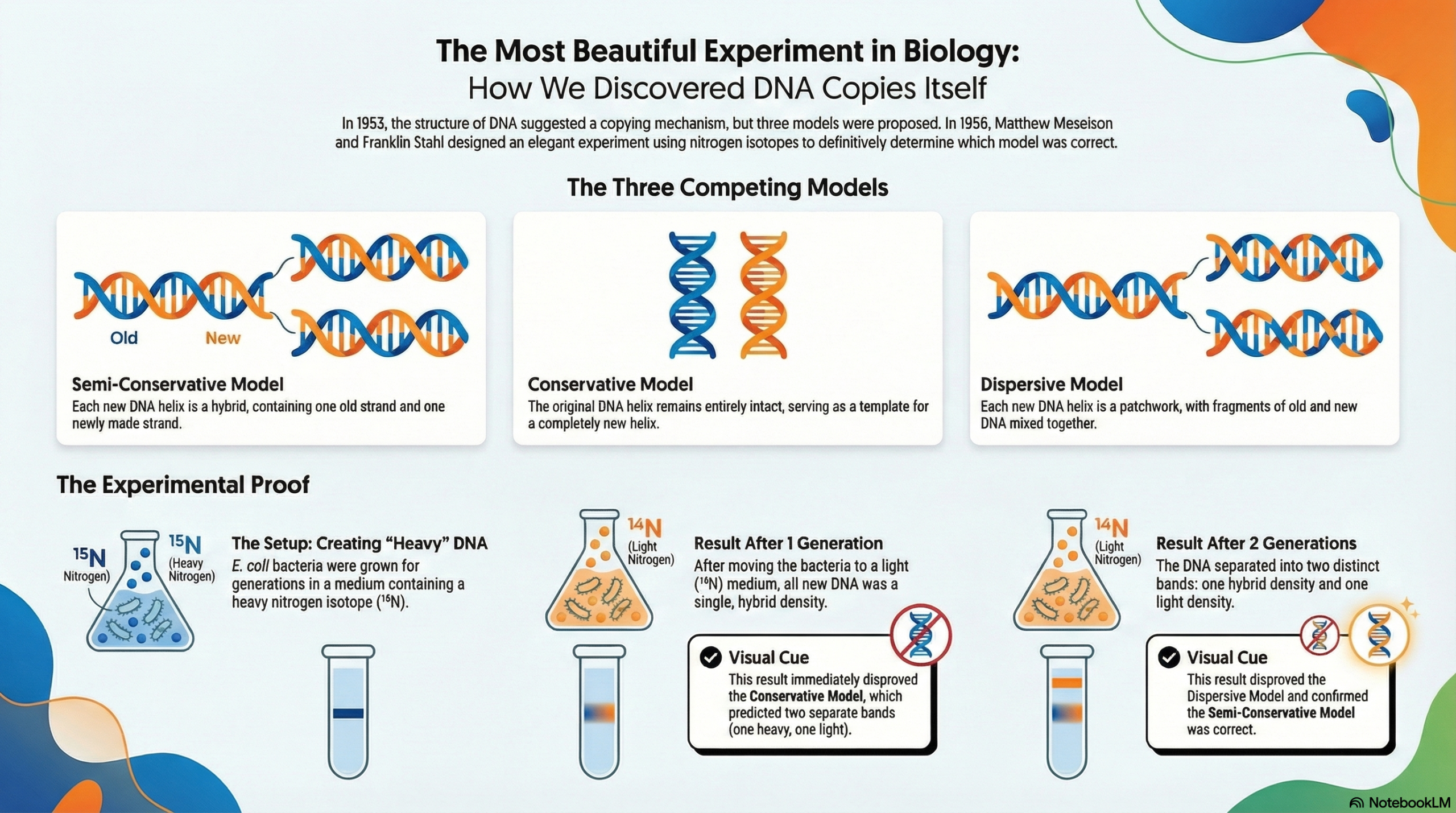The Most Beautiful Experiment in Biology: A Walkthrough of the Meselson ...
